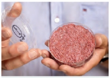 In vitro meat project | Applications | Biomedical | PHC Corporation