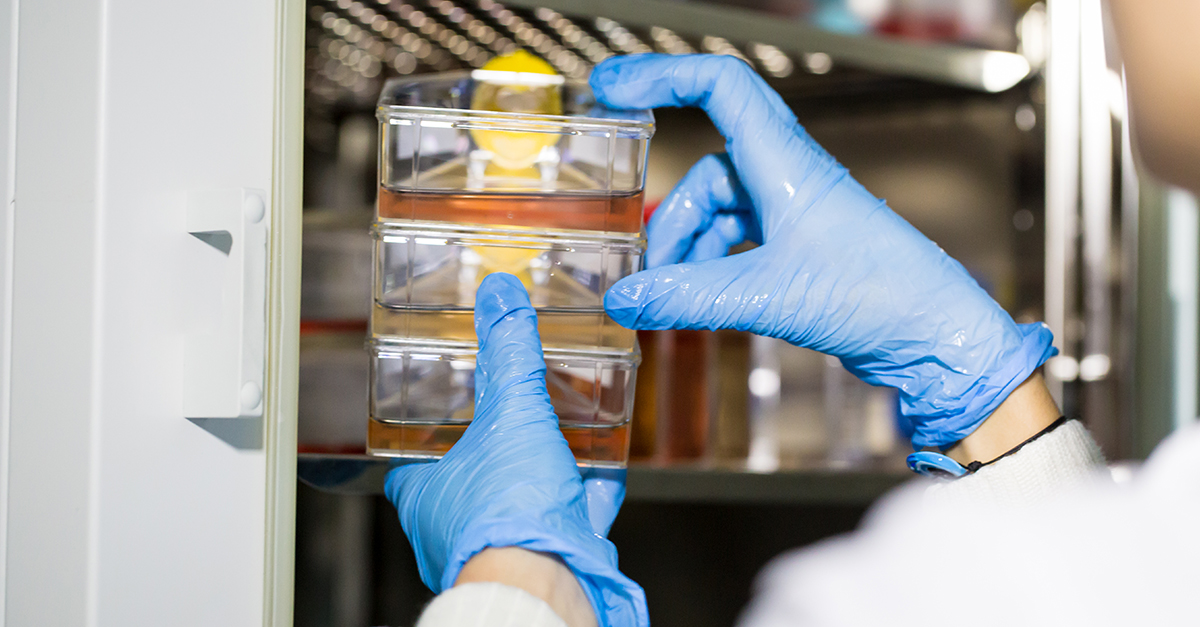 Choosing the best laboratory incubator for your needs | Blog | PHCbi