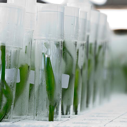 PHCbi | Ultra-Low Lab Freezers | Pharma Refrigerators